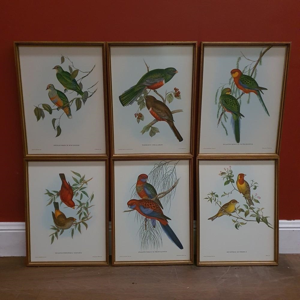 John Gould | Set of six coloured lithographs of native birds | MutualArt