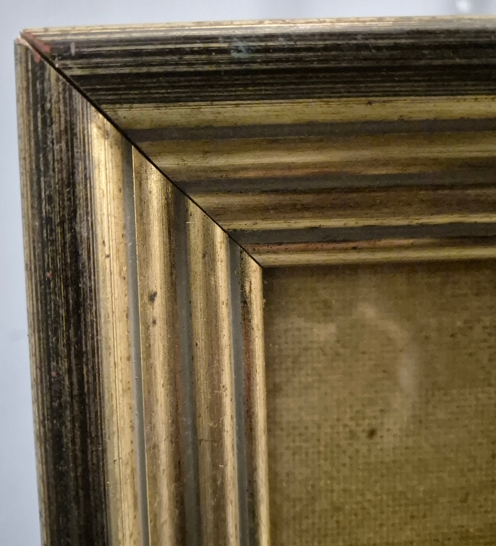Jan Coutts | Wing Study | MutualArt