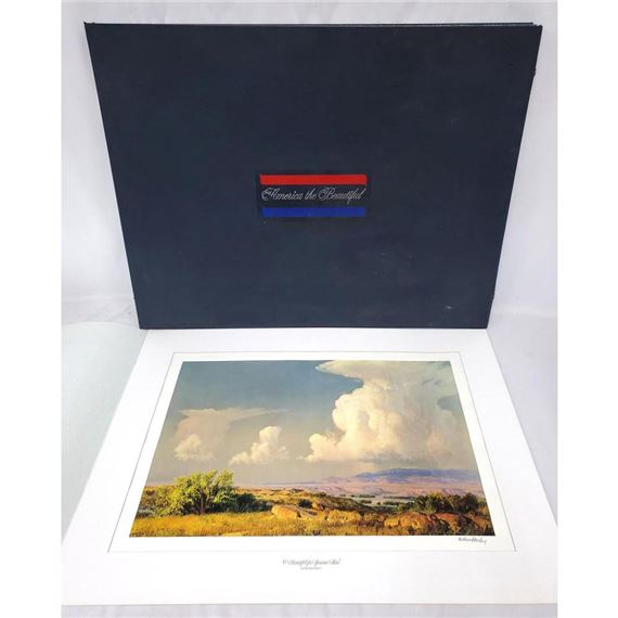 Wilson Hurley | America The Beautiful | MutualArt