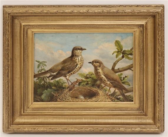 Henry William Carter | Thrush and Nest (1904) | MutualArt