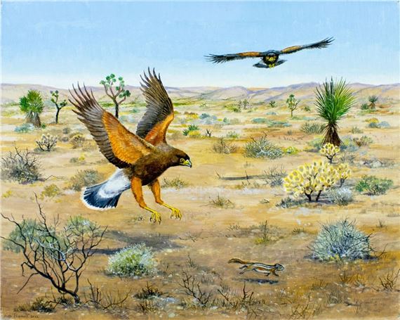 Peter Barrett | Harriss Hawk (2022) | MutualArt