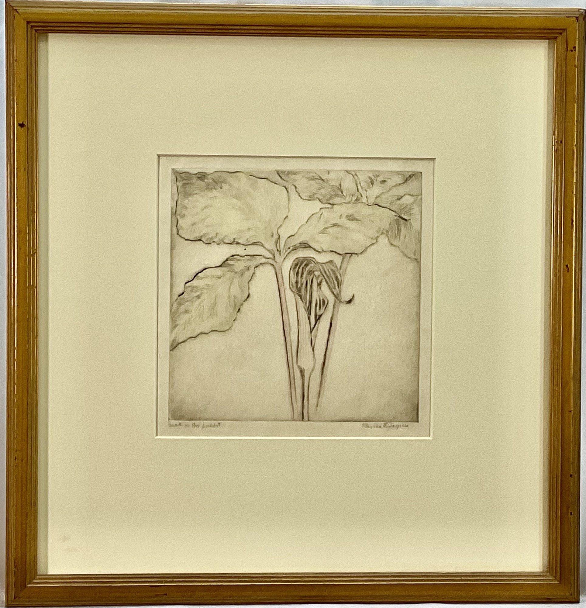 Bertha Jaques | Jack in the Pulpit | MutualArt