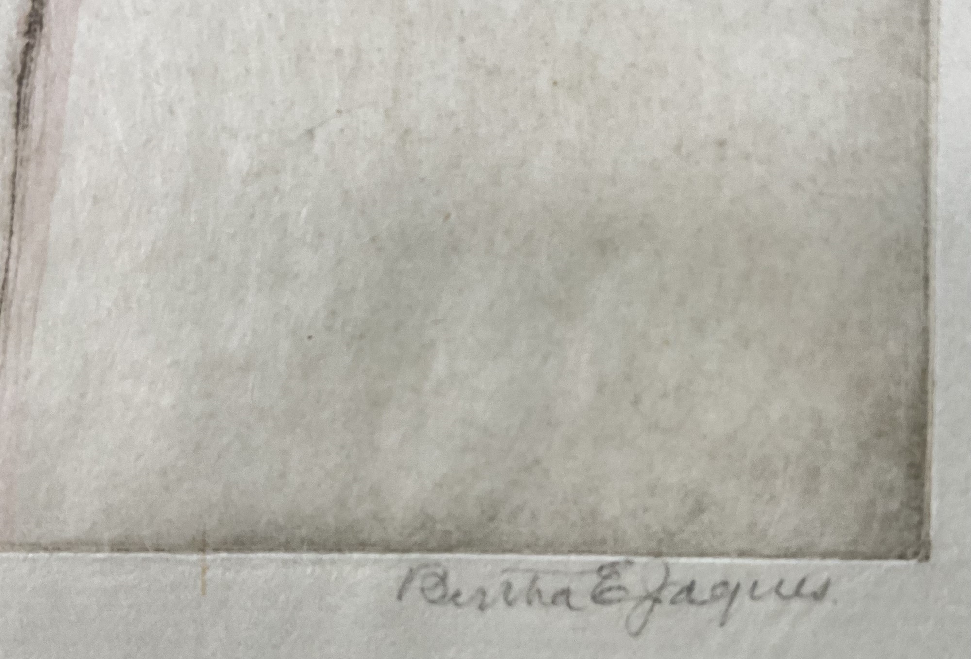 Bertha Jaques | Jack in the Pulpit | MutualArt