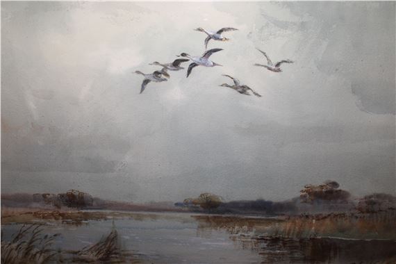 Roland Green | Pintails In Flight | MutualArt