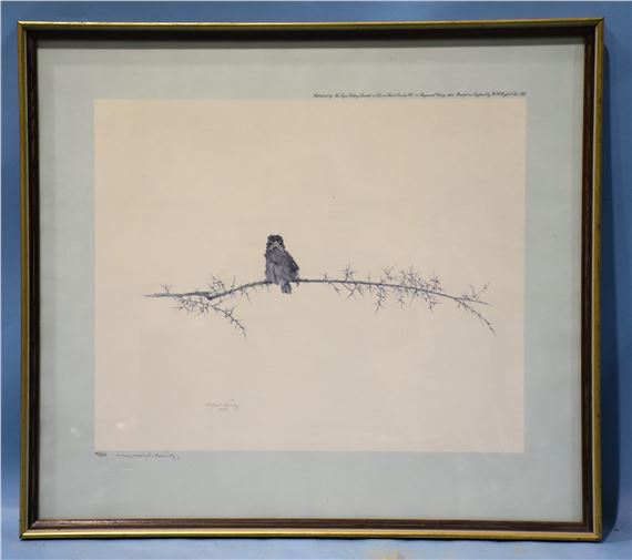 Raymond Harris Ching | Sparrow Fledgling | MutualArt