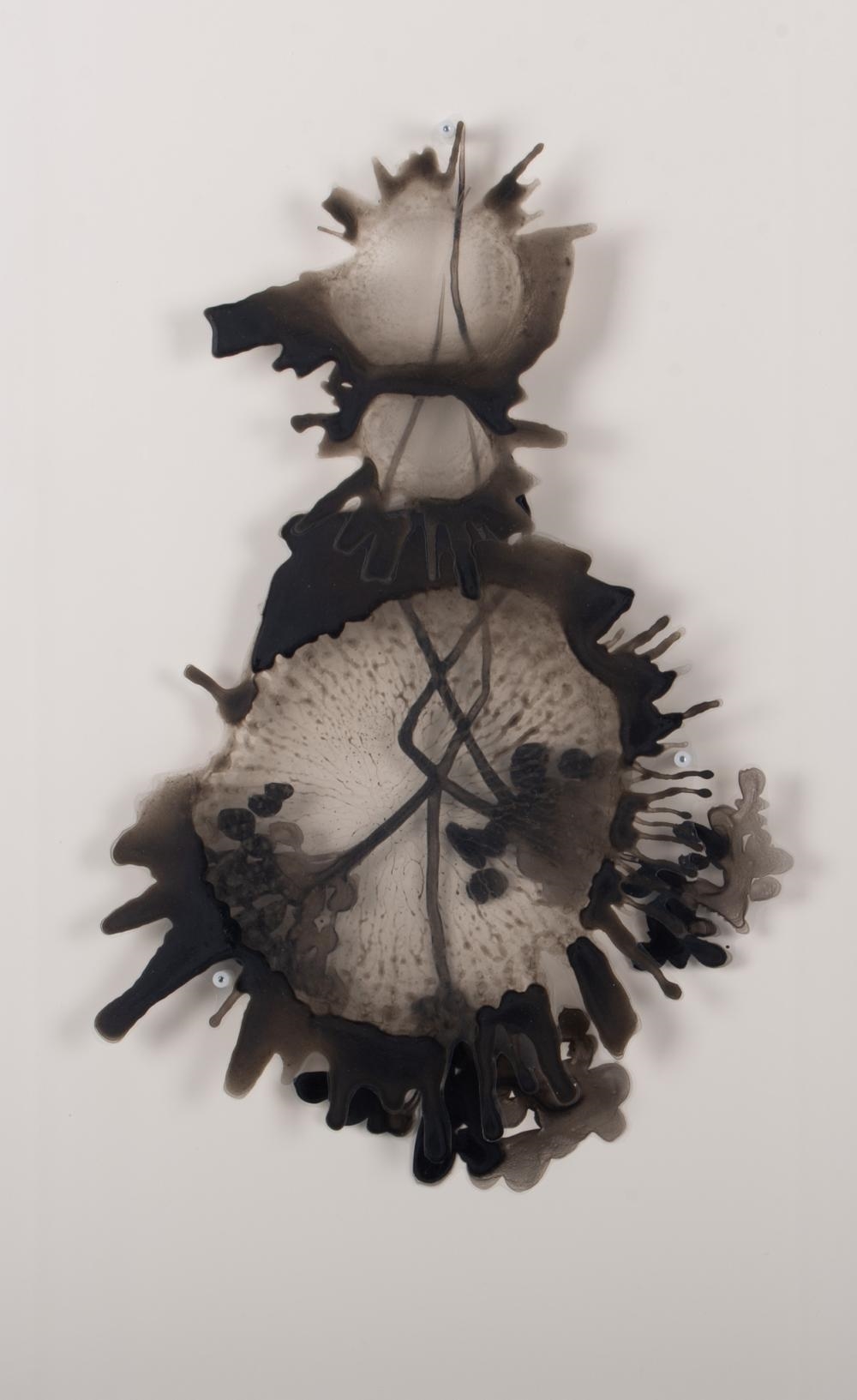 Katy Stone | Gelatin Silver Spore, 2008 (2008) | MutualArt