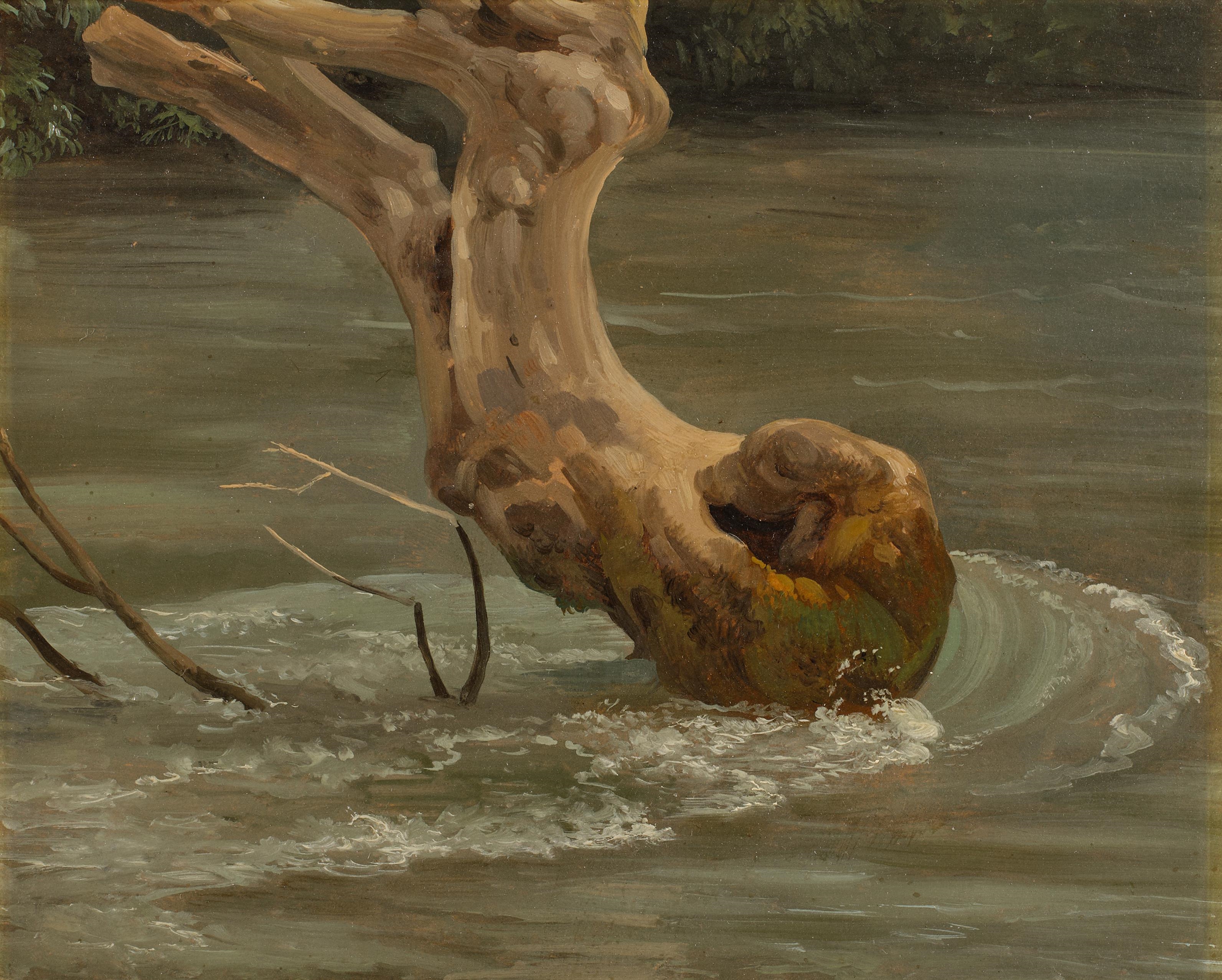 Denis Simon-Joseph-Alexandre-Clément | A Tree Trunk caught in the ...