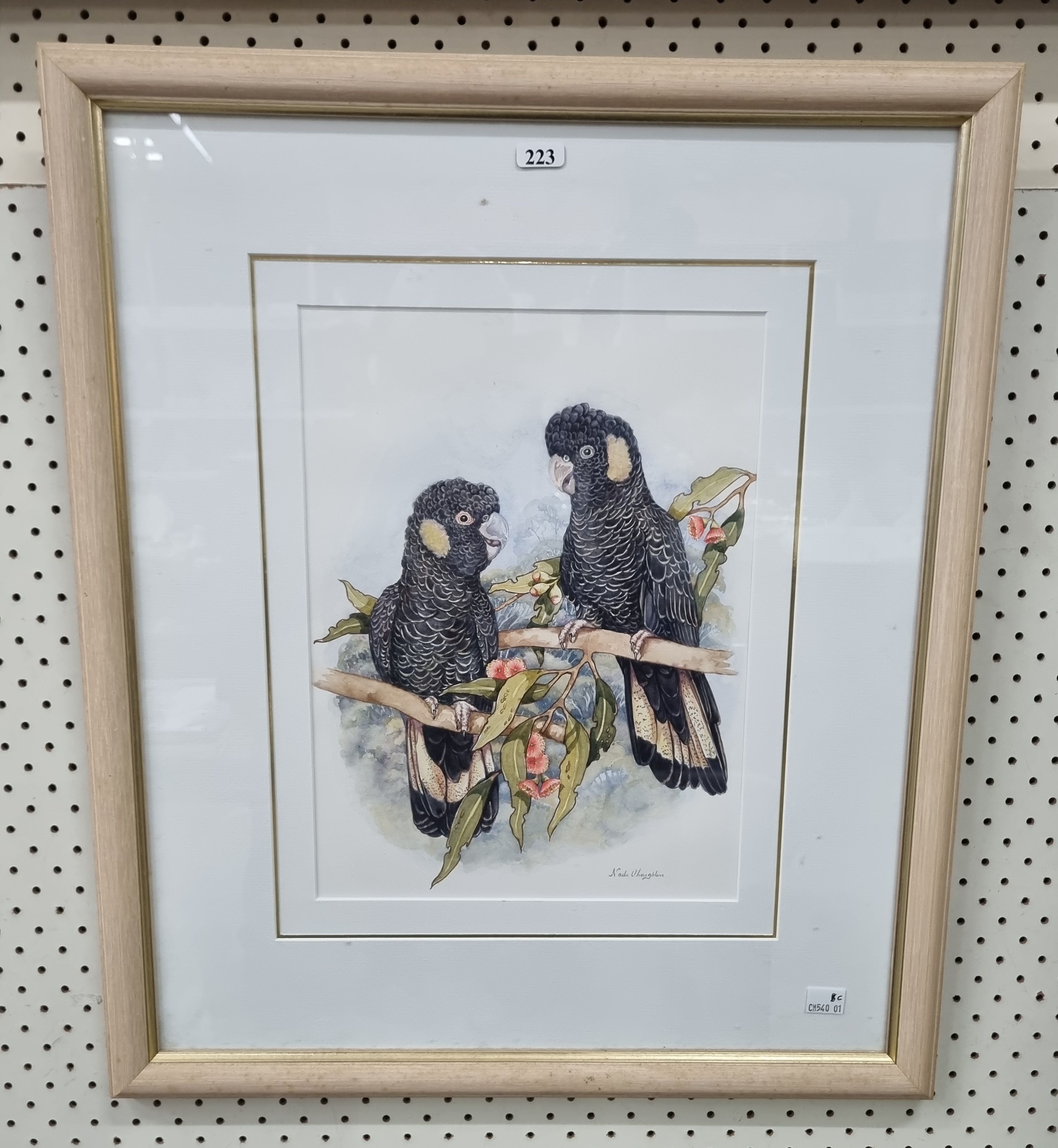 Nada O'Loughlin | Untitled (Yellow tailed black cockatoos) | MutualArt