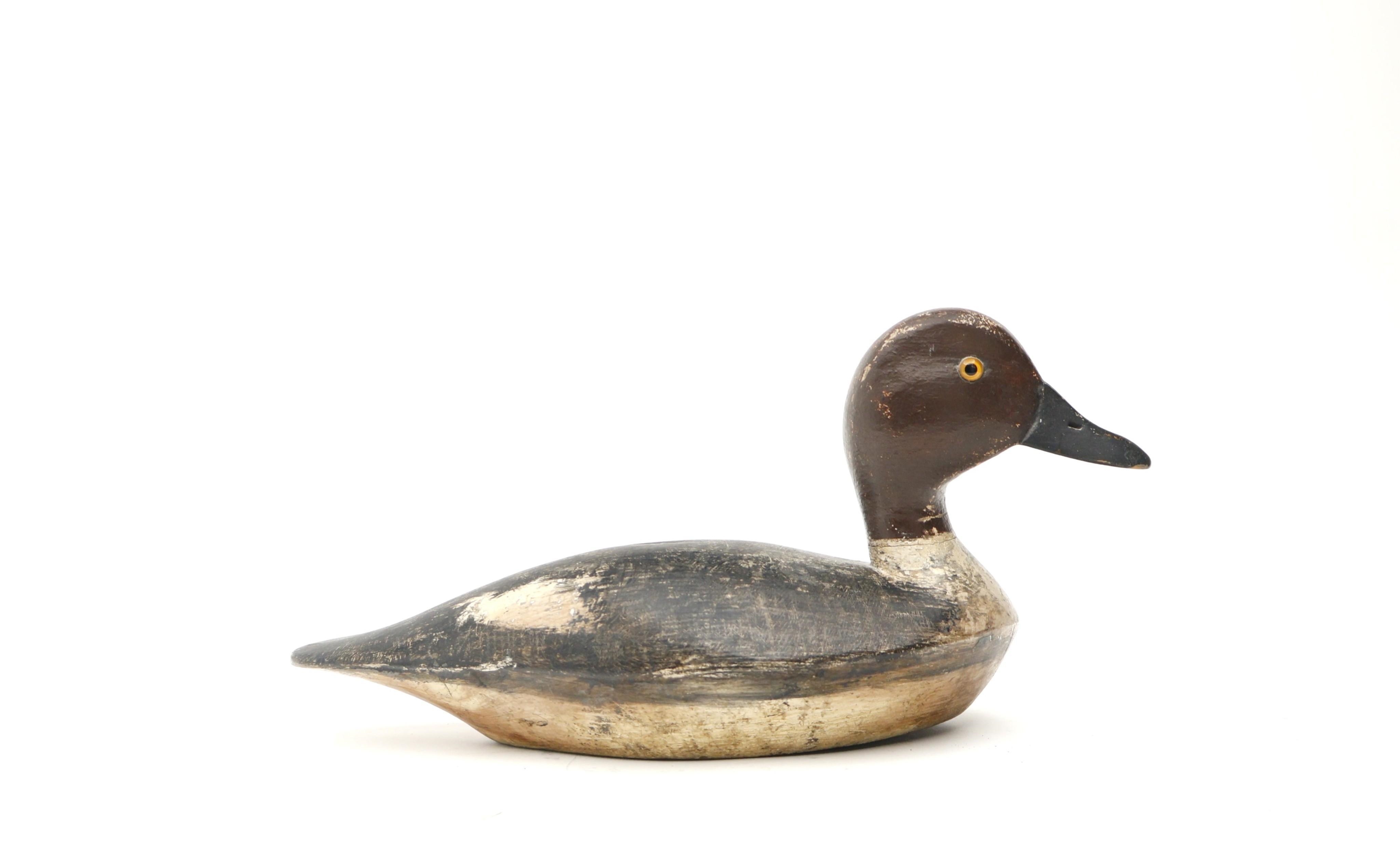 Fairman Davis | Goldeneye hen | MutualArt