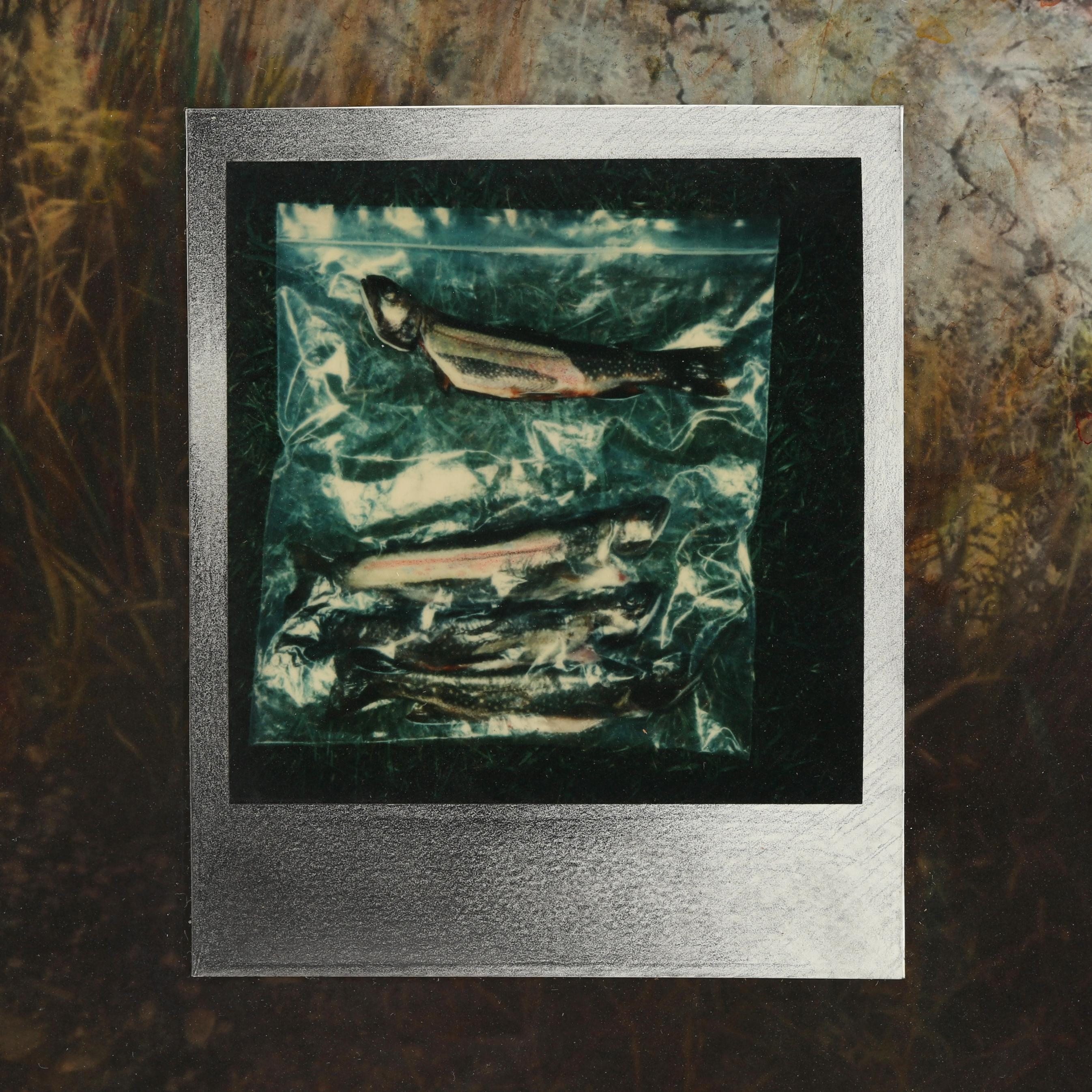 Evon Streetman | Untitled | MutualArt