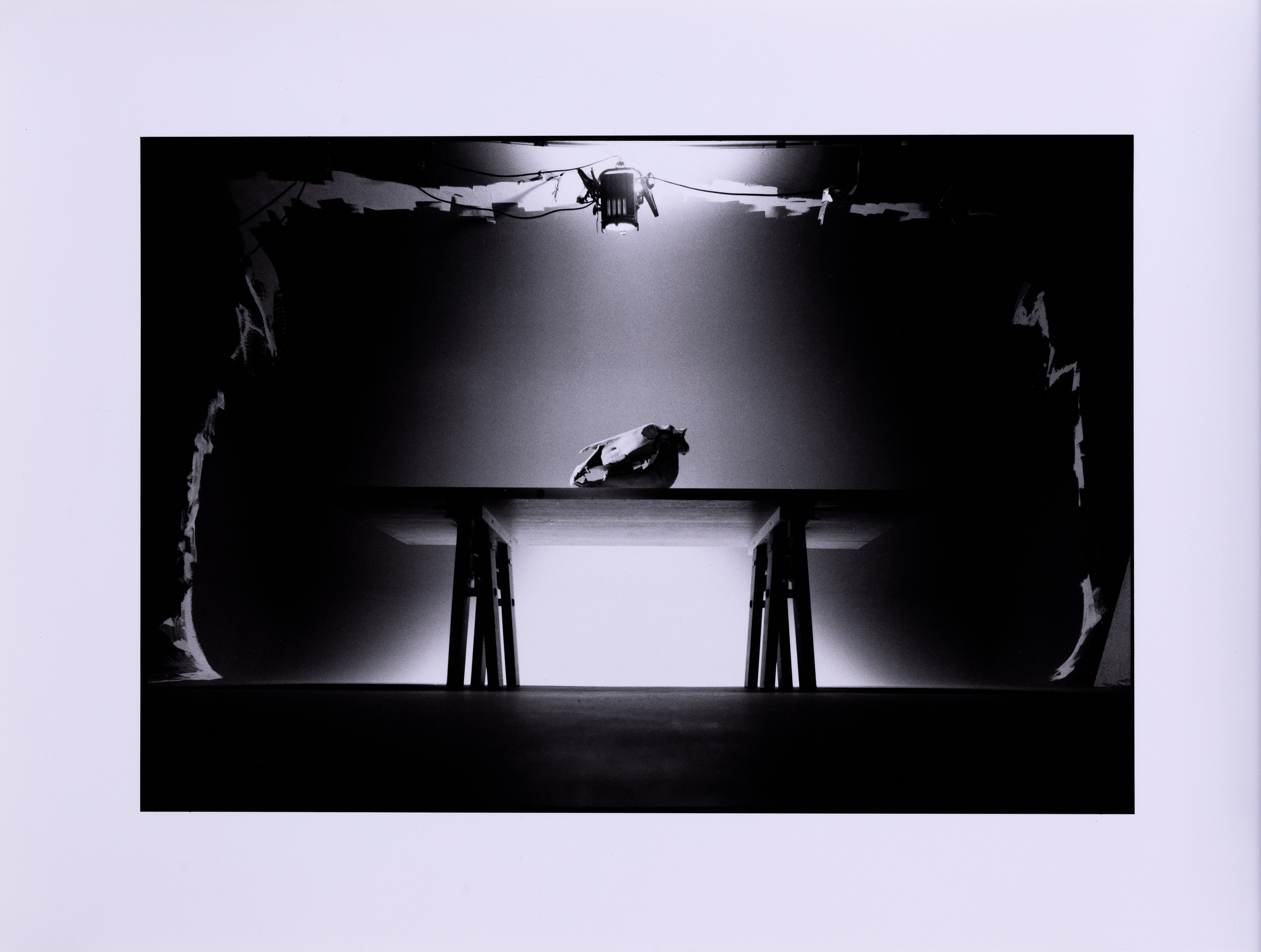 Mario Carrieri | Untitled | MutualArt