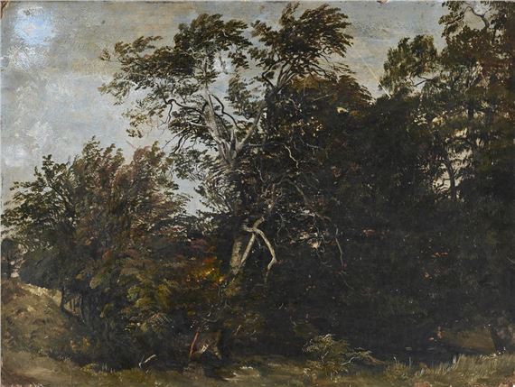 John Constable | TREE STUDY | MutualArt