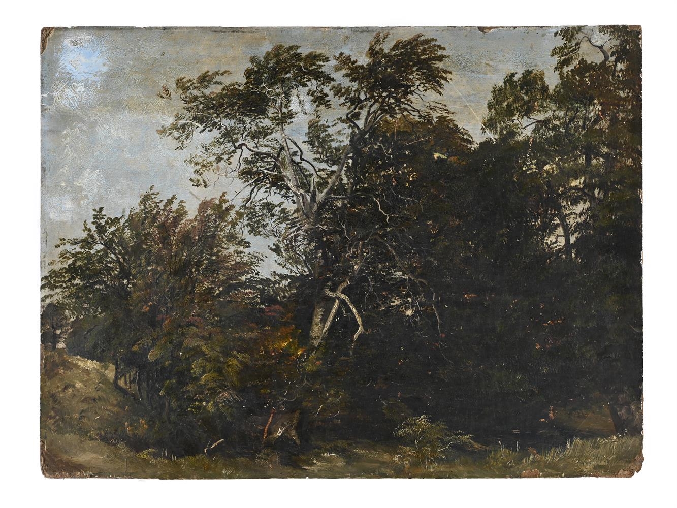 John Constable | TREE STUDY | MutualArt