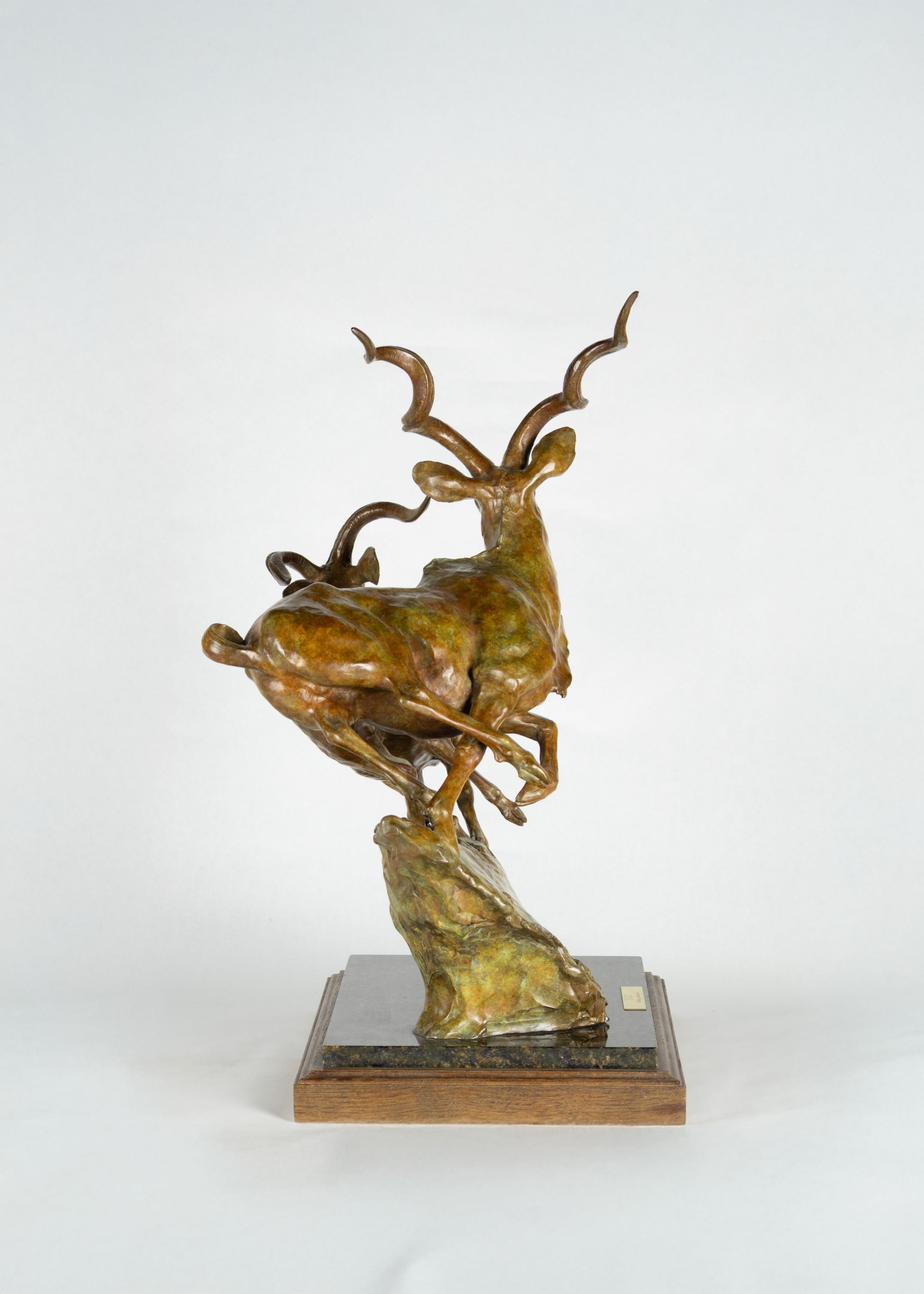 Sherry Sander | Kudu, 1985 (1985) | MutualArt
