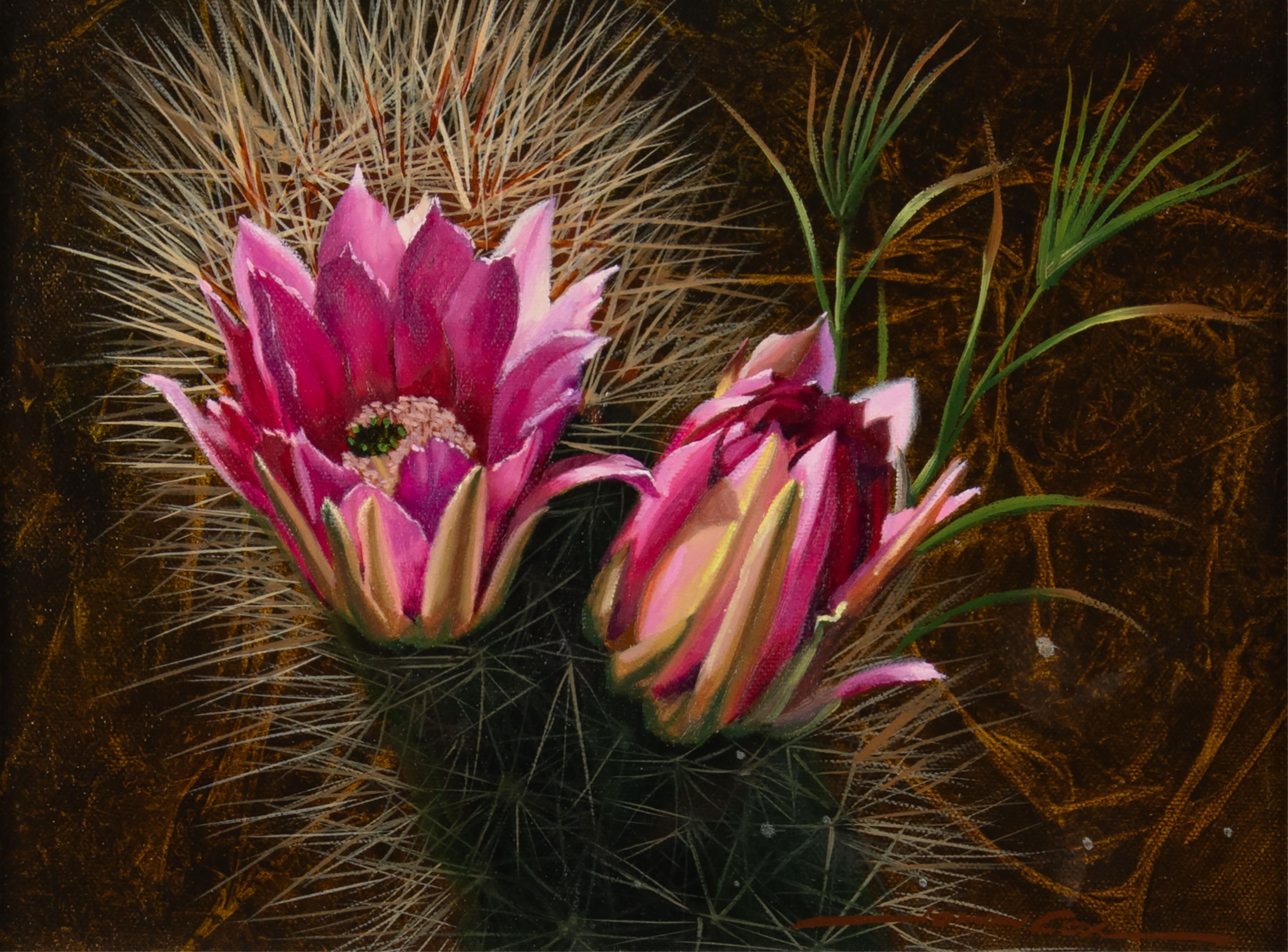 John Cox | Flowering Cactus | MutualArt