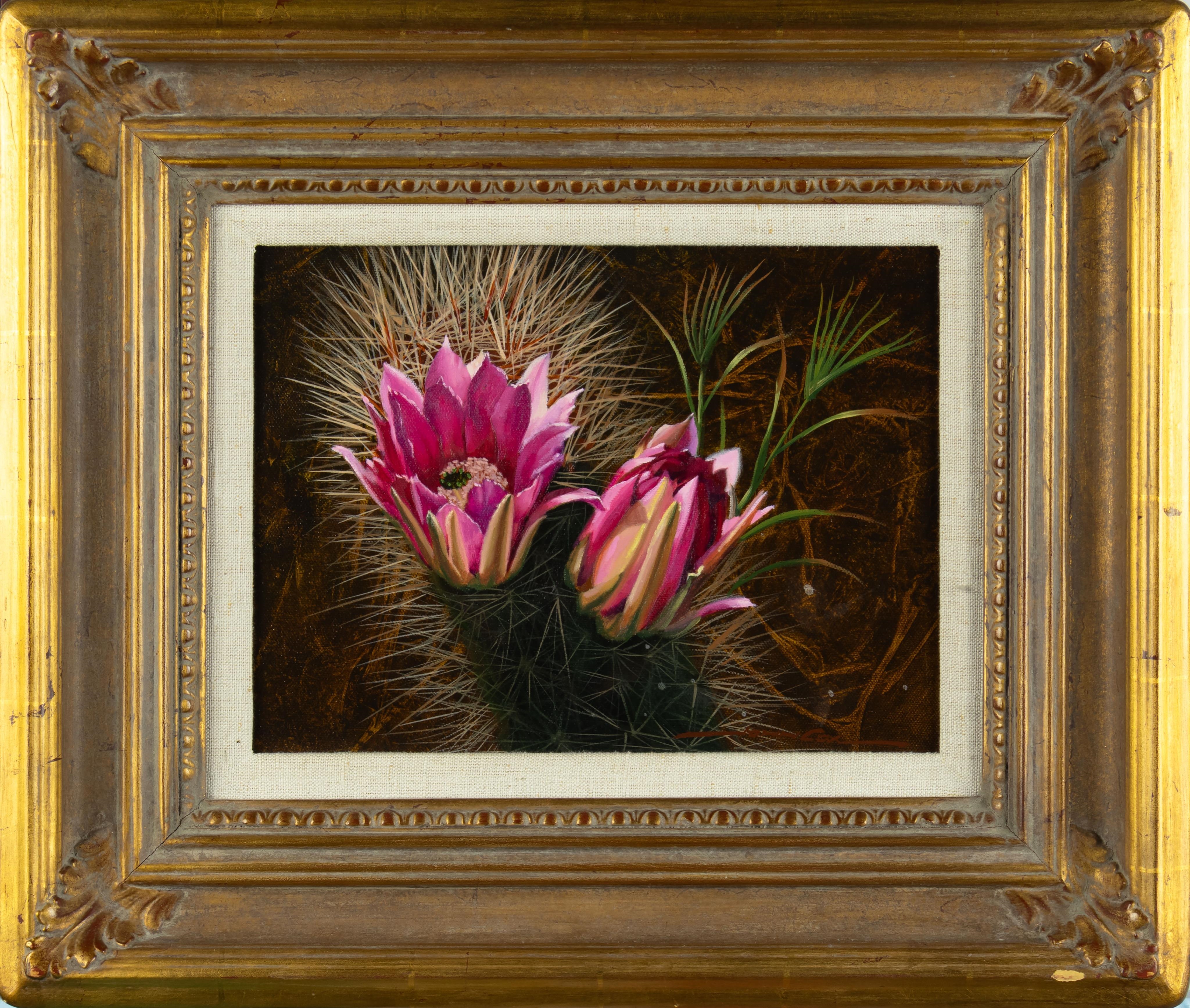 John Cox | Flowering Cactus | MutualArt