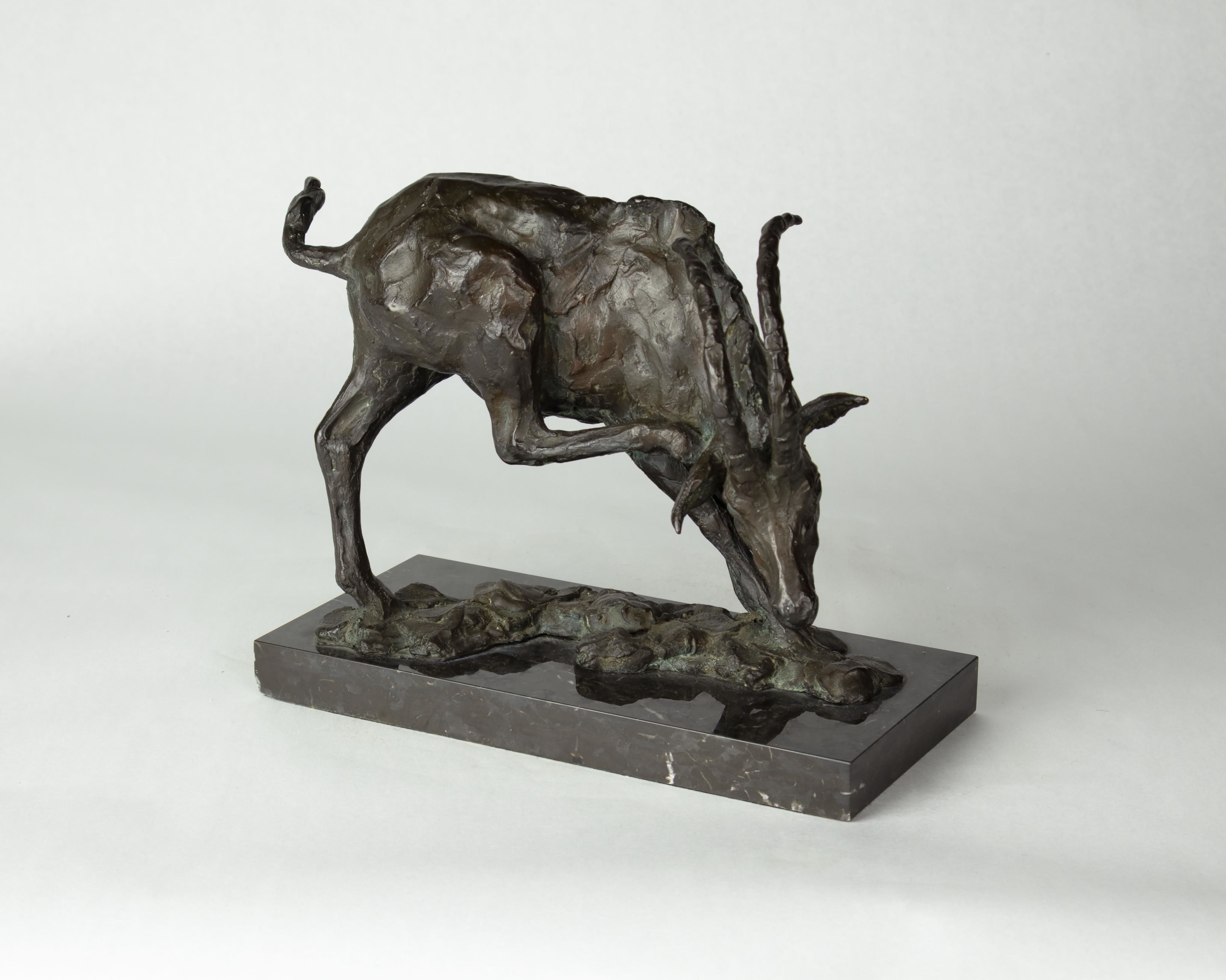 Kenneth Bunn | Sable Antelope | MutualArt