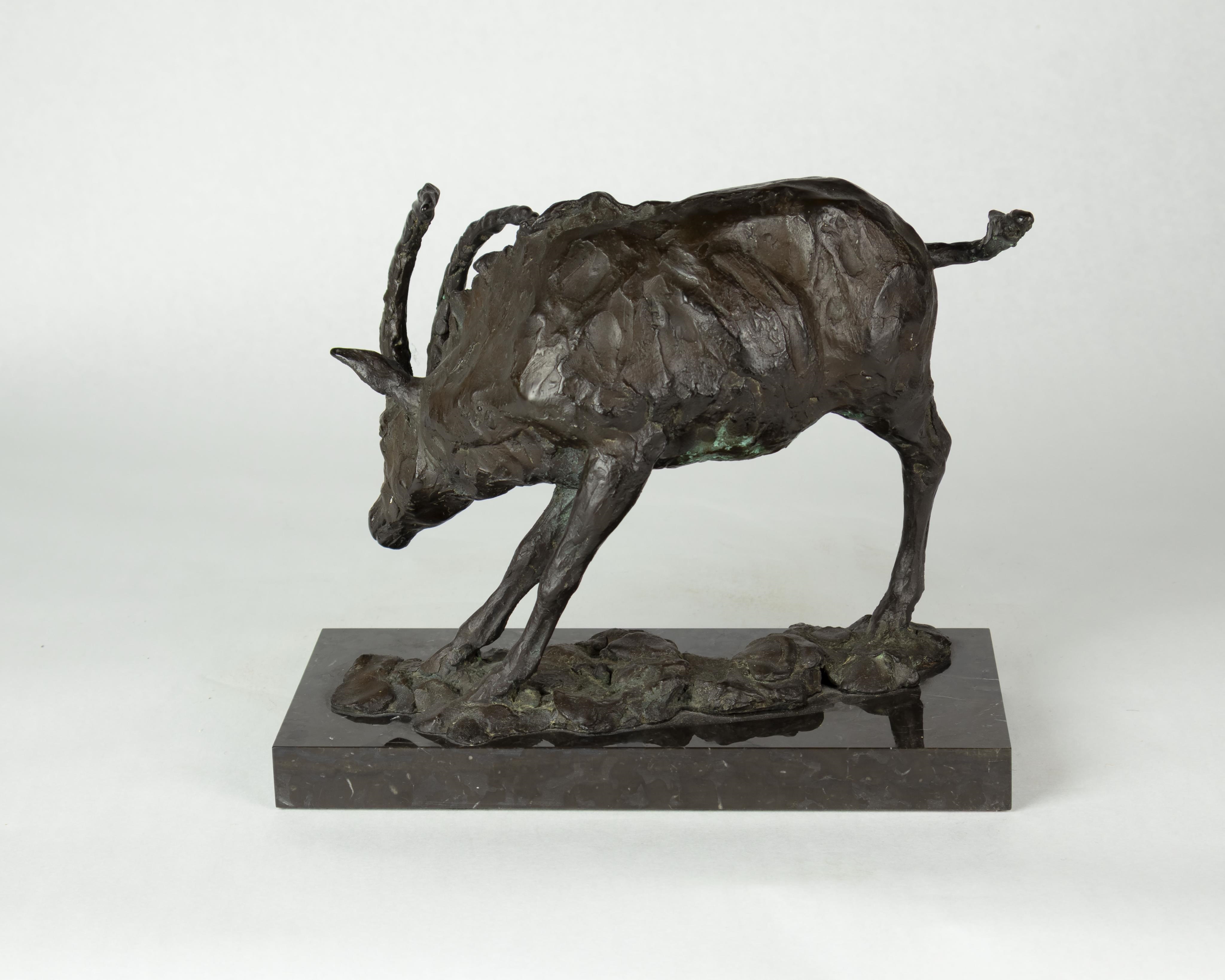 Kenneth Bunn | Sable Antelope | MutualArt