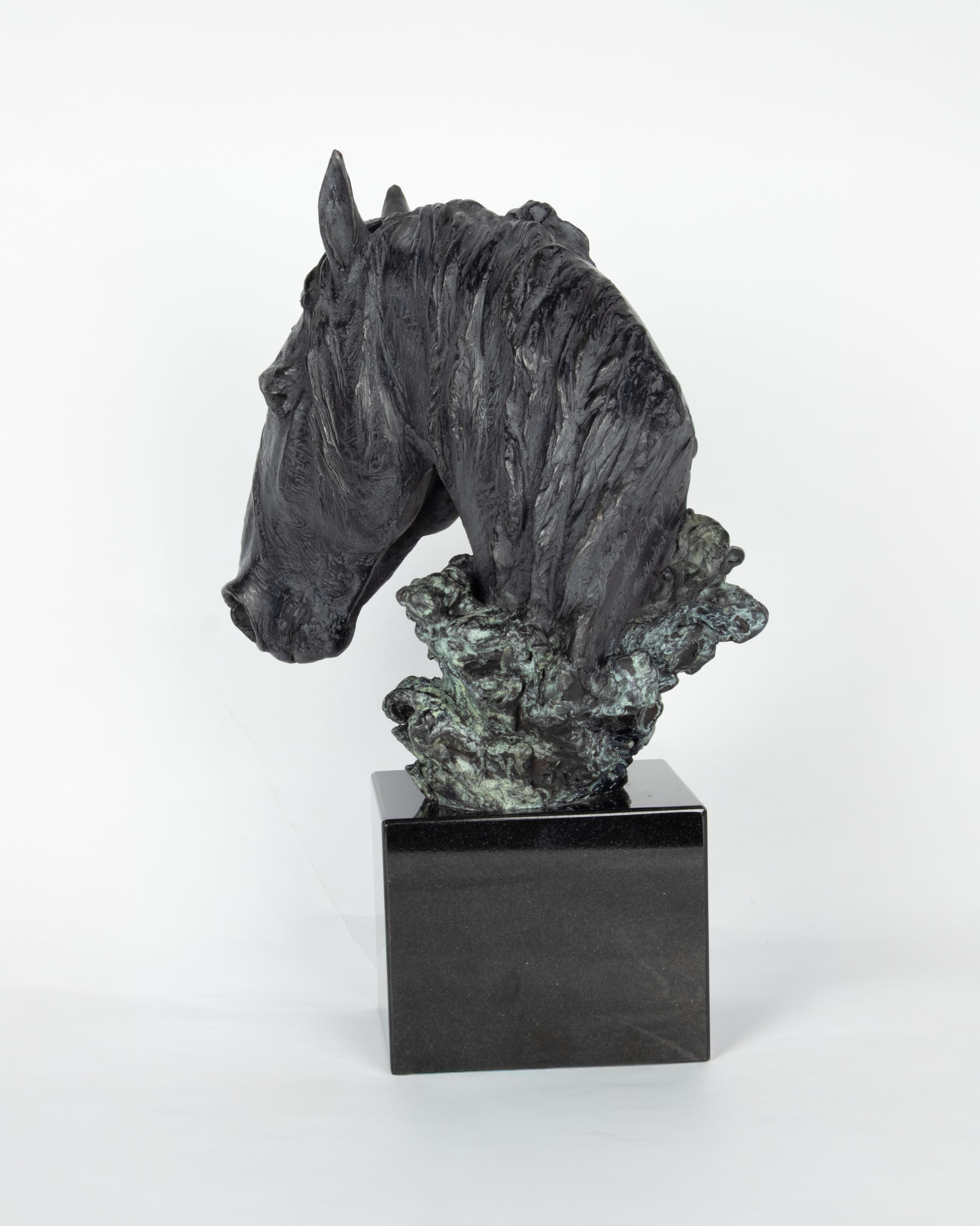 Greg Kelsey | Jicarilla Mustang (2011) | MutualArt