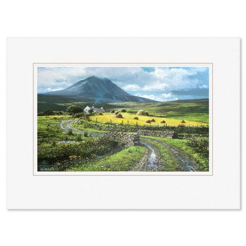 Ellenshaw Peter | Errigal Mountain, Donegal | Compare similar artworks ...