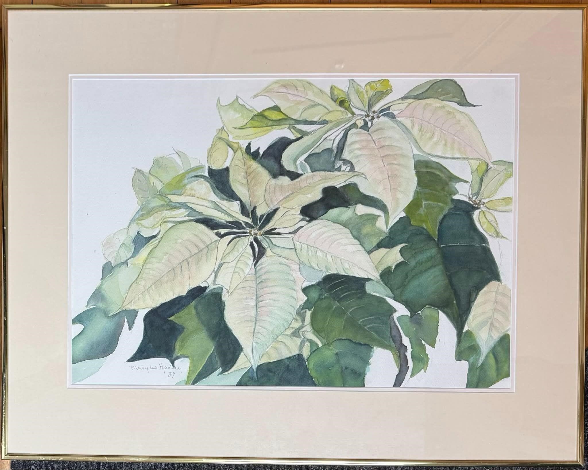 Mary W. Hashey | Poinsettia (87) | MutualArt