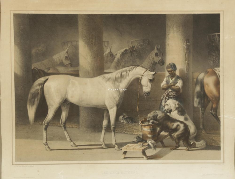 Jean Louis André Théodore Géricault | Les amis alterés | MutualArt