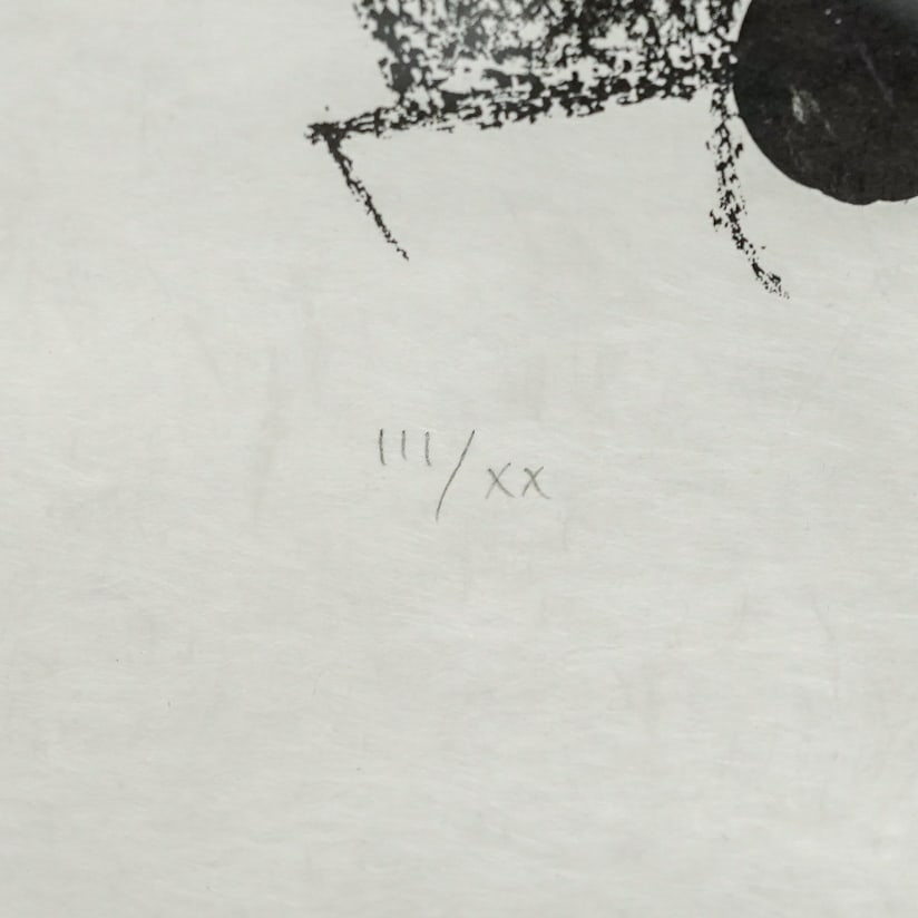 Joan Miró | Fotoscop (1974) | MutualArt