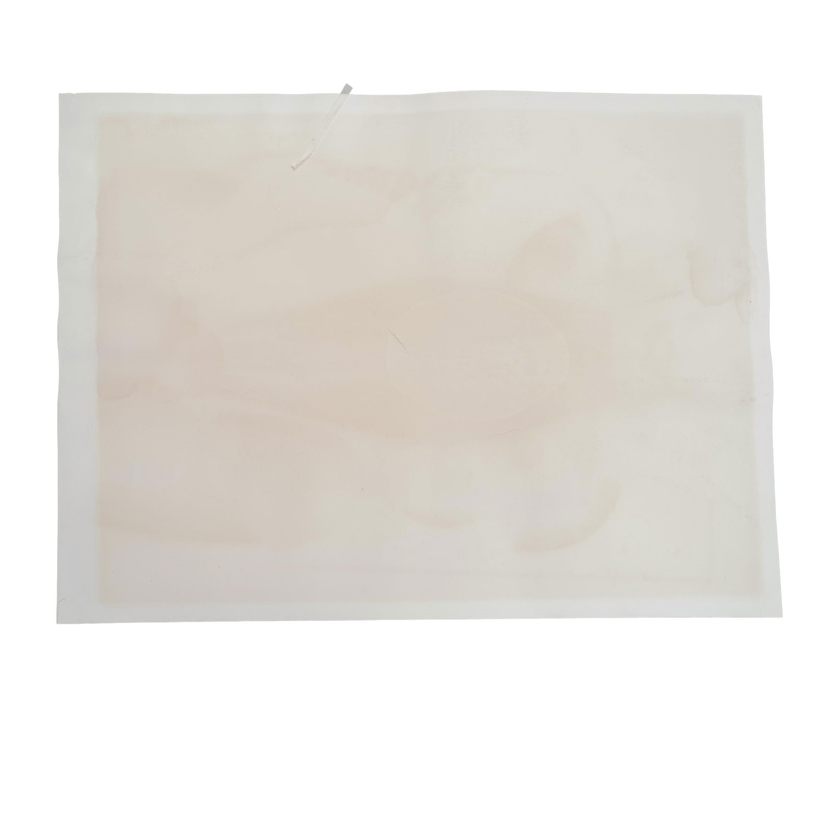 Shimon Okshteyn | Serigraph (2020) | MutualArt