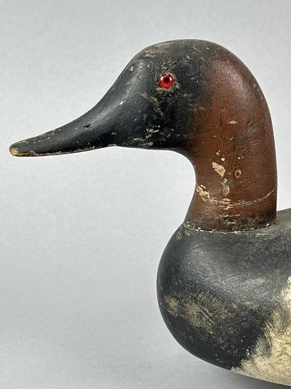 Sylvester swede Swedesky | Canvasback Drake | MutualArt