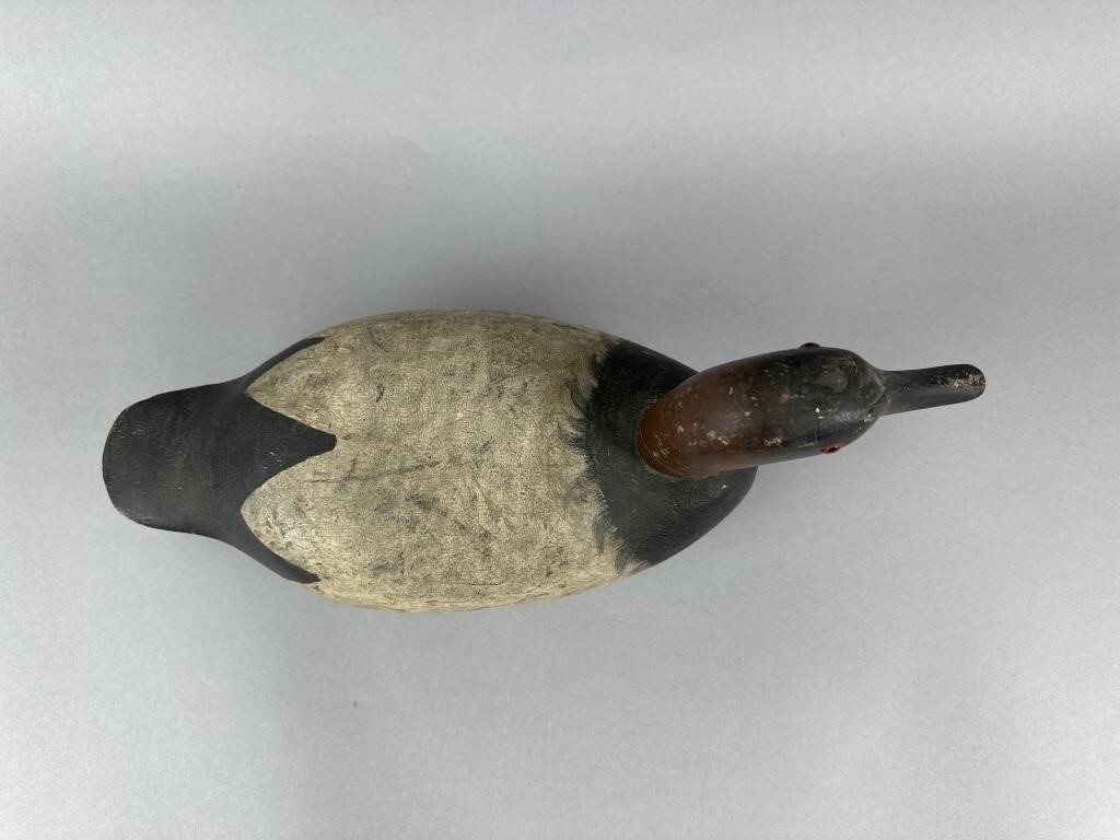 Sylvester swede Swedesky | Canvasback Drake | MutualArt