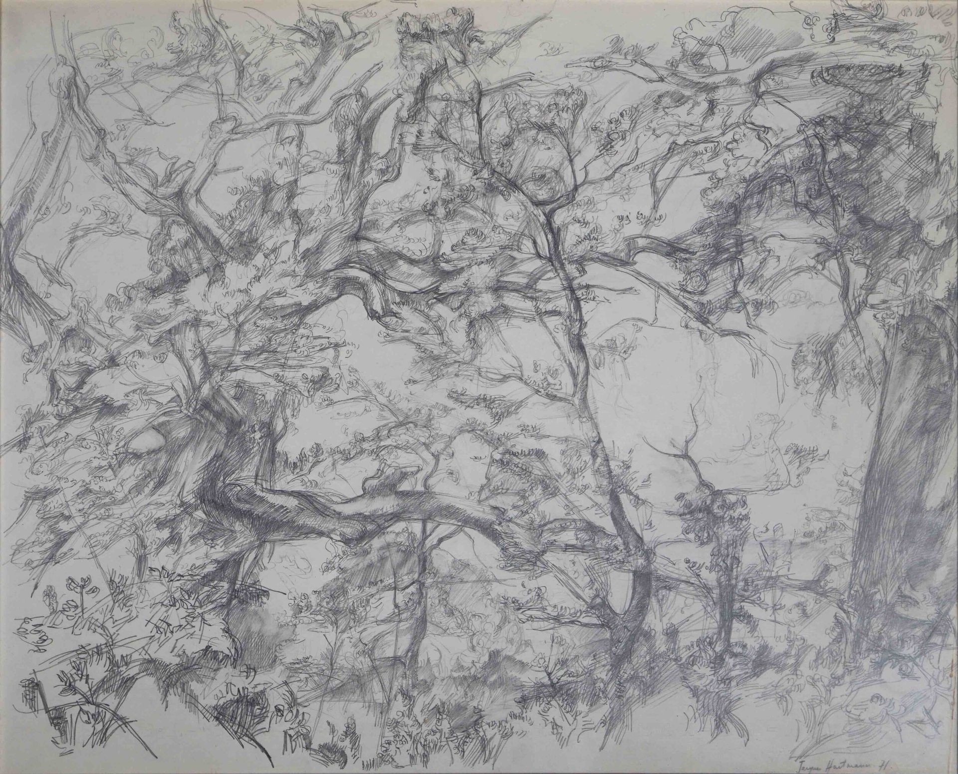 Jacques Hartmann | Trees (1971) | MutualArt