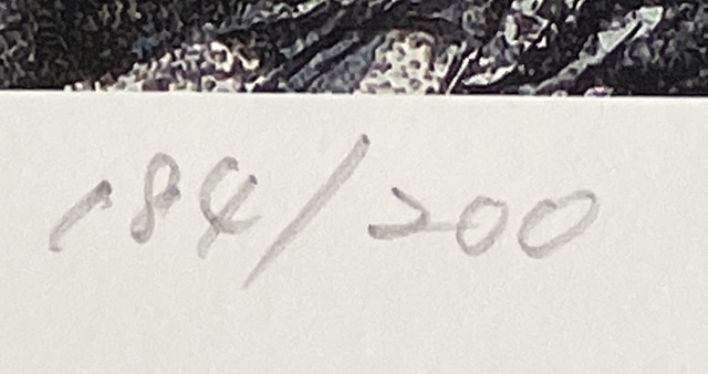 Jeff Gillette | Ruined Disney Castle (a set of 2 | MutualArt