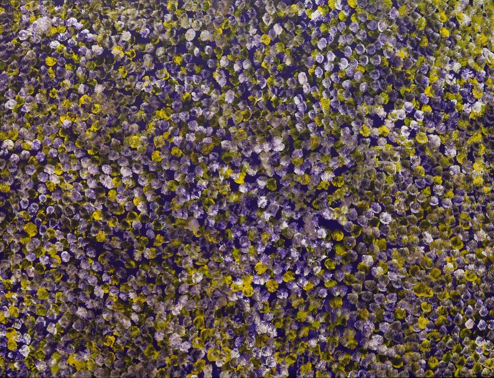 Bessie Pitjara | Bush Plum (2023) | MutualArt