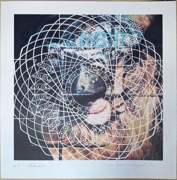 James Rosenquist | Silverbird (1981) | MutualArt