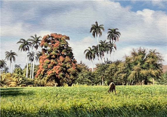 Jose Perdomo Garcia | Cuban Landscape | MutualArt