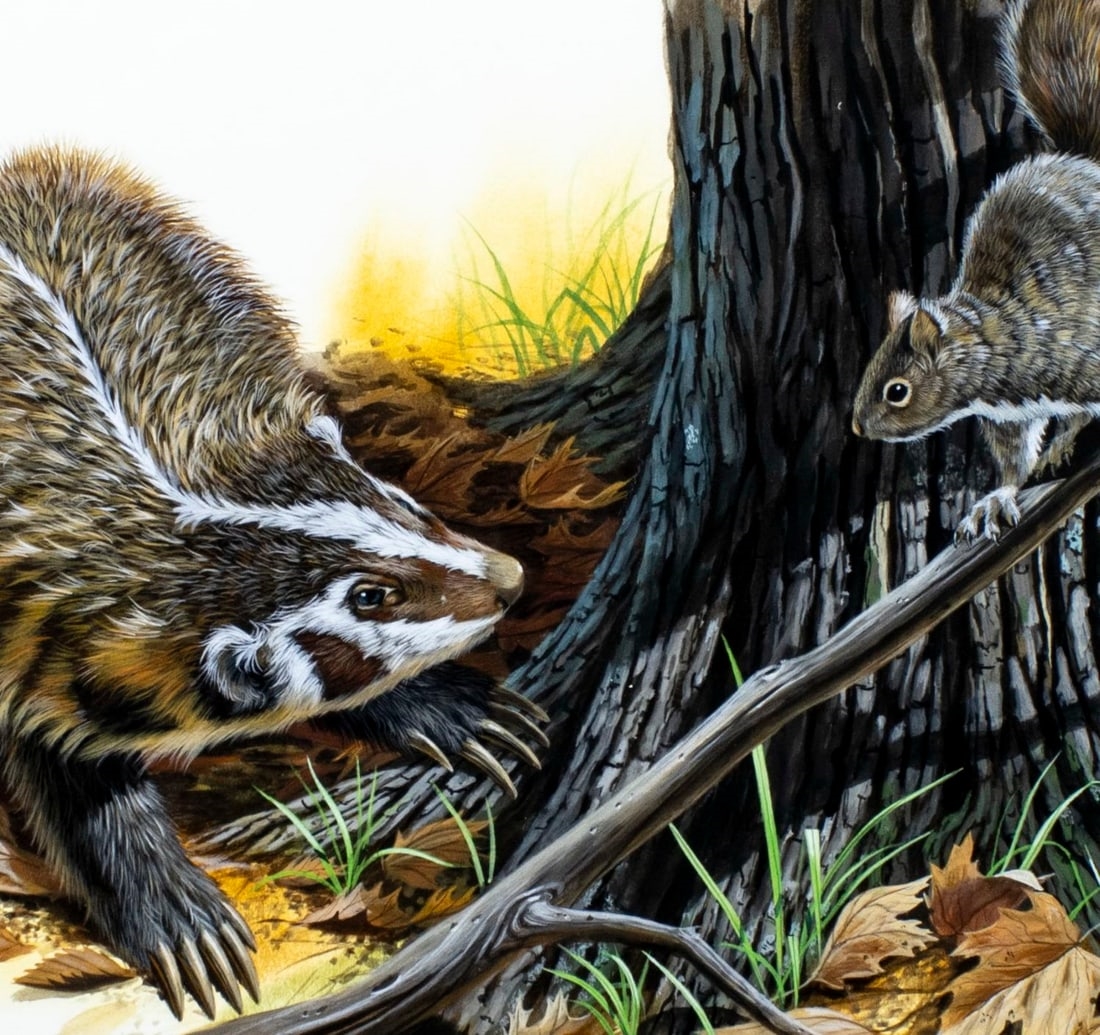 Don Balke | American Badger (1978) | MutualArt