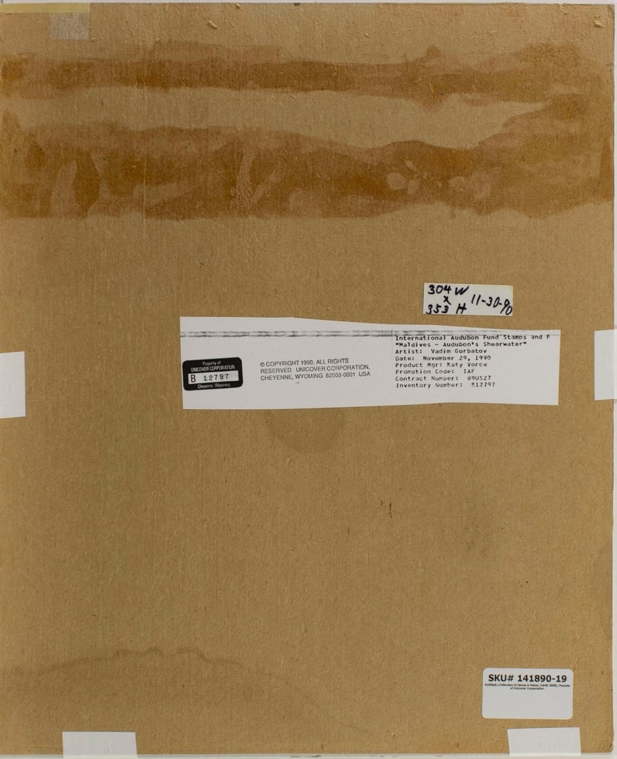 Vadim Gorbatov | Audubons Shearwater Bird, Maldives (1990) | MutualArt