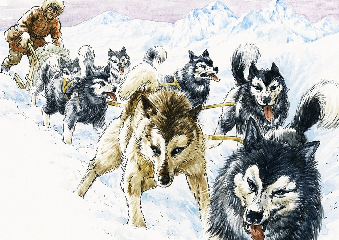 Basil Smith | Dog Sled (1986) | MutualArt