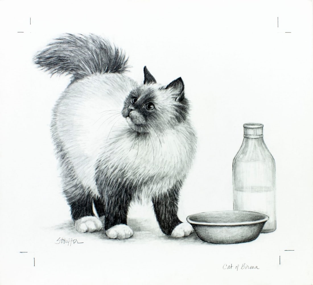 Stephanie Stouffer | Birma Cat (1979) | MutualArt