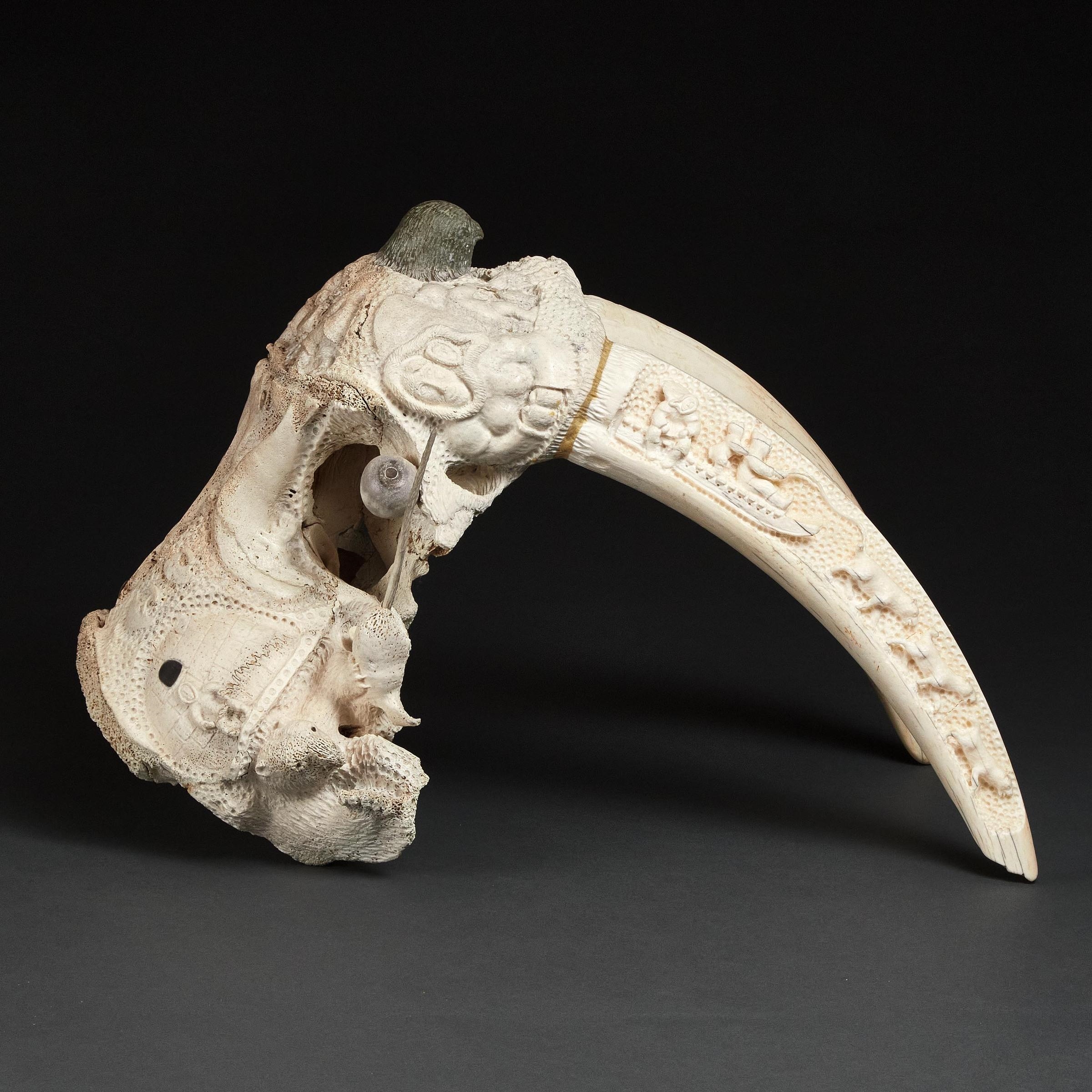 Luke Airut | WALRUS SKULL (2002) | MutualArt