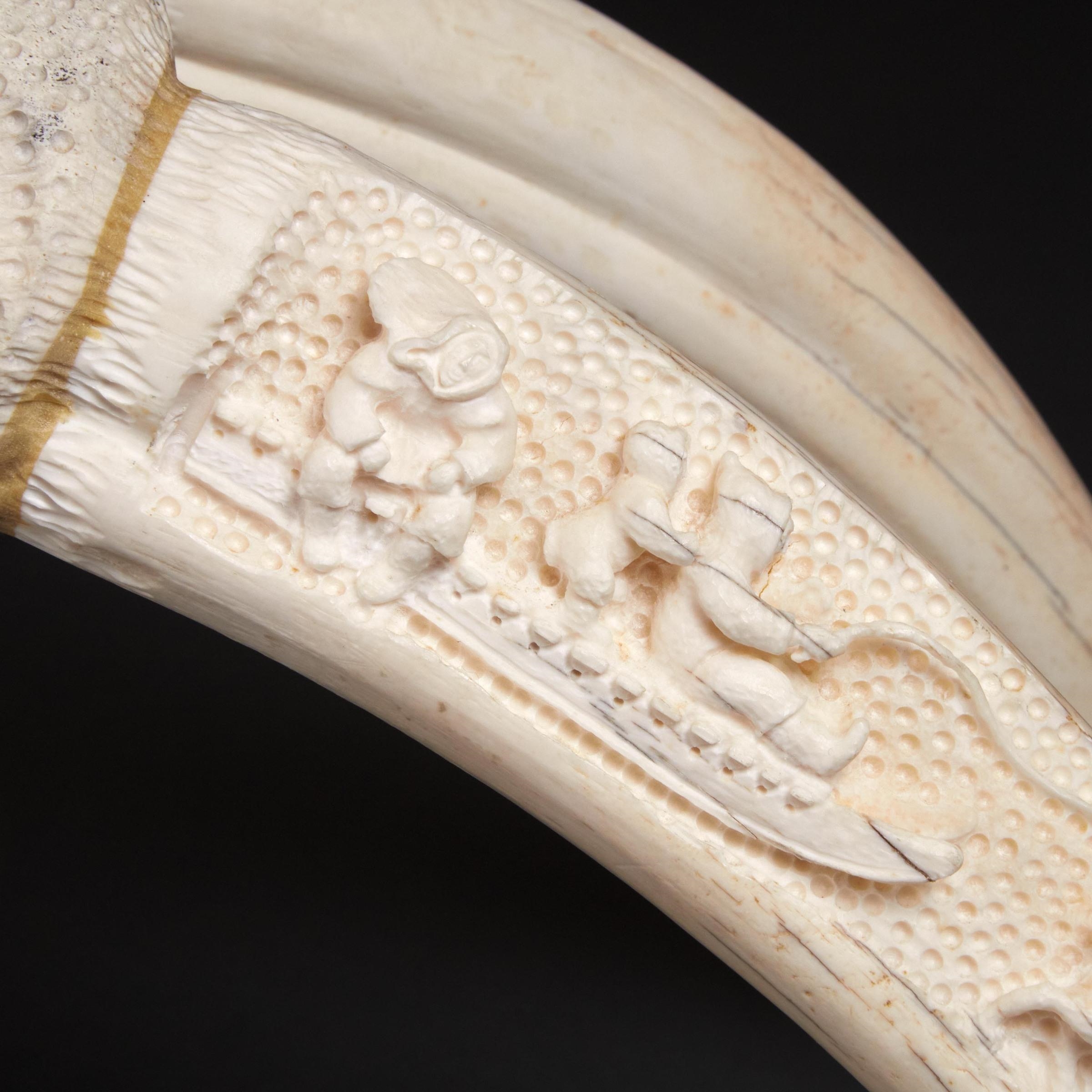 Luke Airut | WALRUS SKULL (2002) | MutualArt