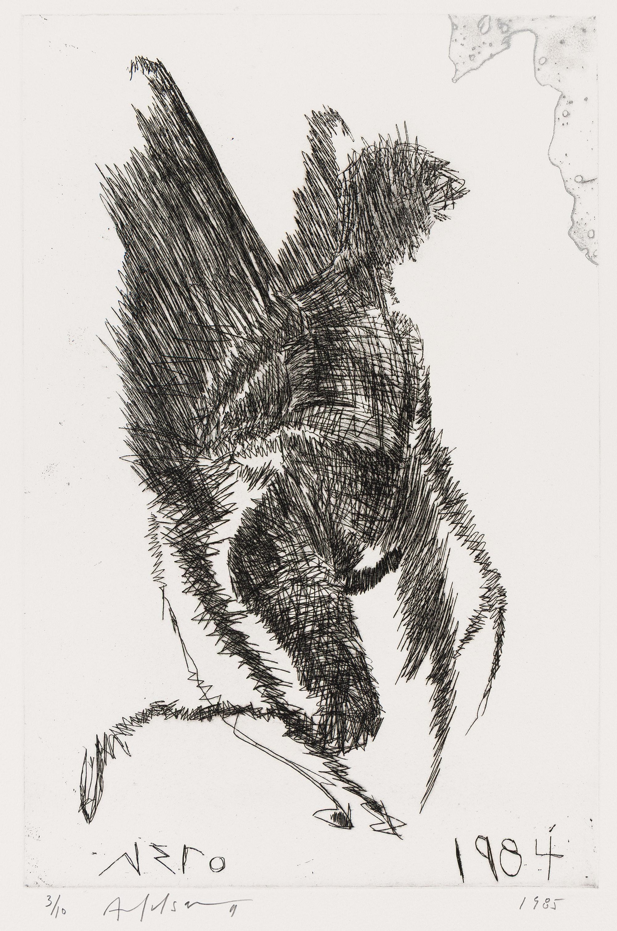 Carl Apfelschnitt | Nero 1984 (Devil). 1985 (1985) | MutualArt