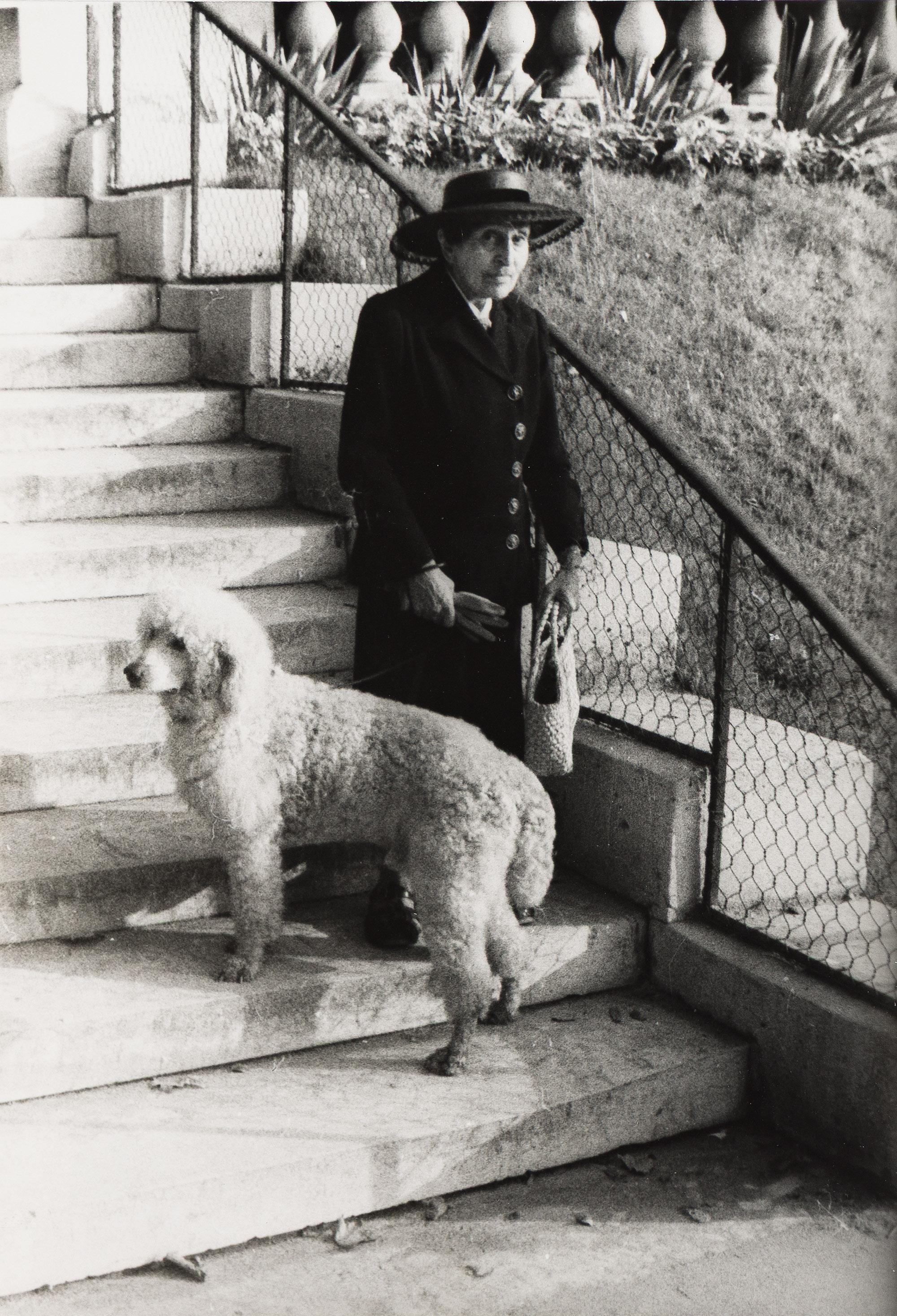 Carl Van Vechten | Portrait of Alice B. Toklas with Her Dog in Paris ...