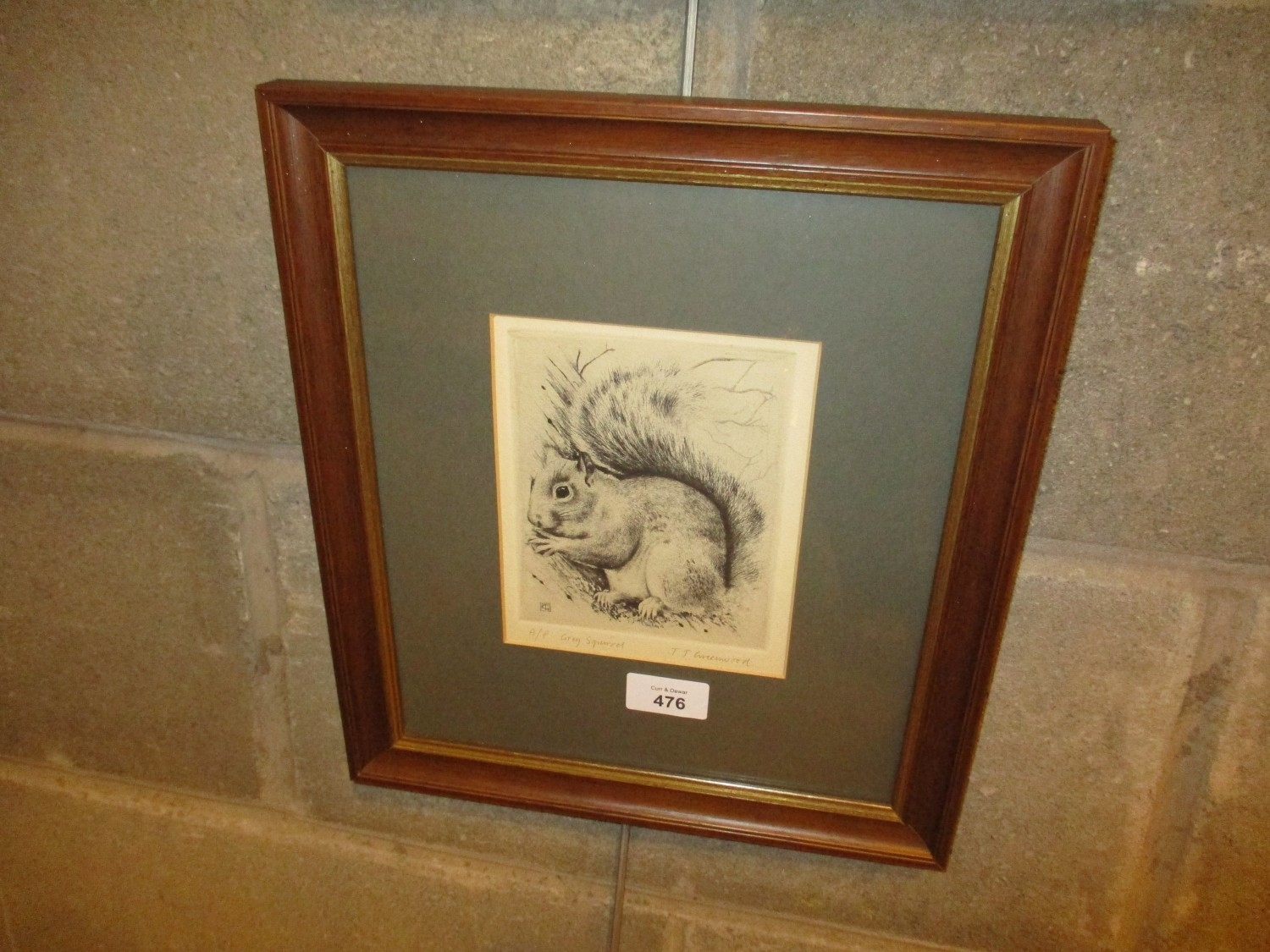 Timothy John Greenwood | Grey Squirrel | MutualArt