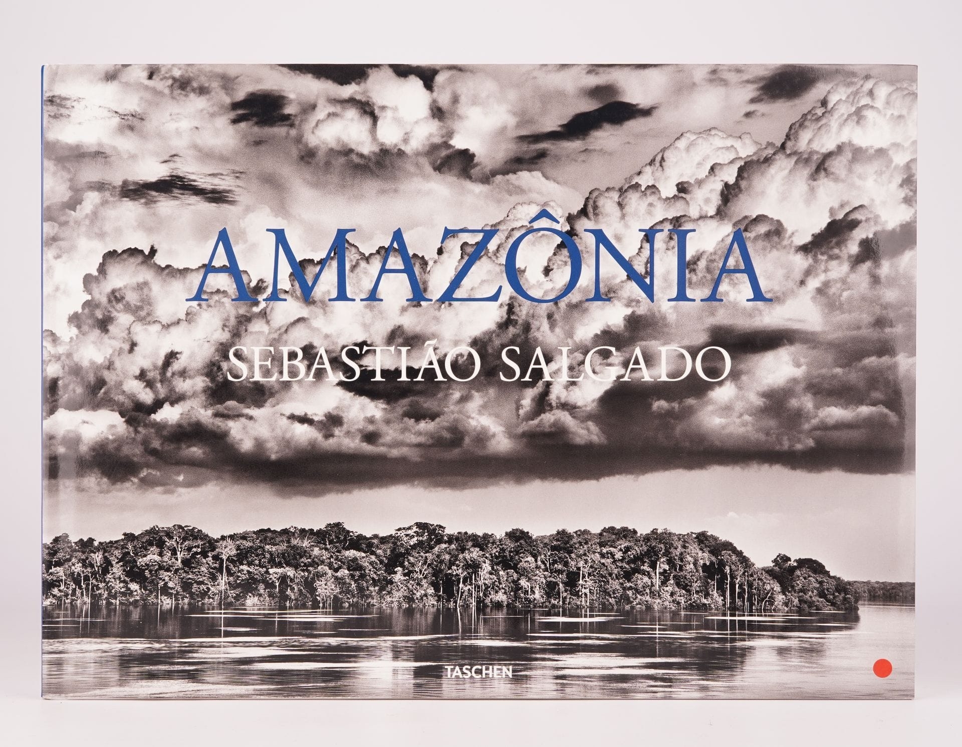 Sebastião Salgado | Amazonia | MutualArt