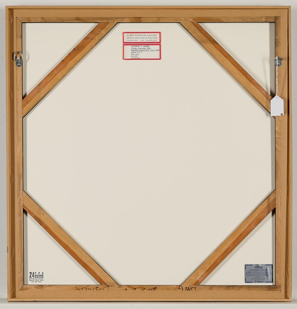 Allison V. Smith | Ocotillo (1988) | MutualArt