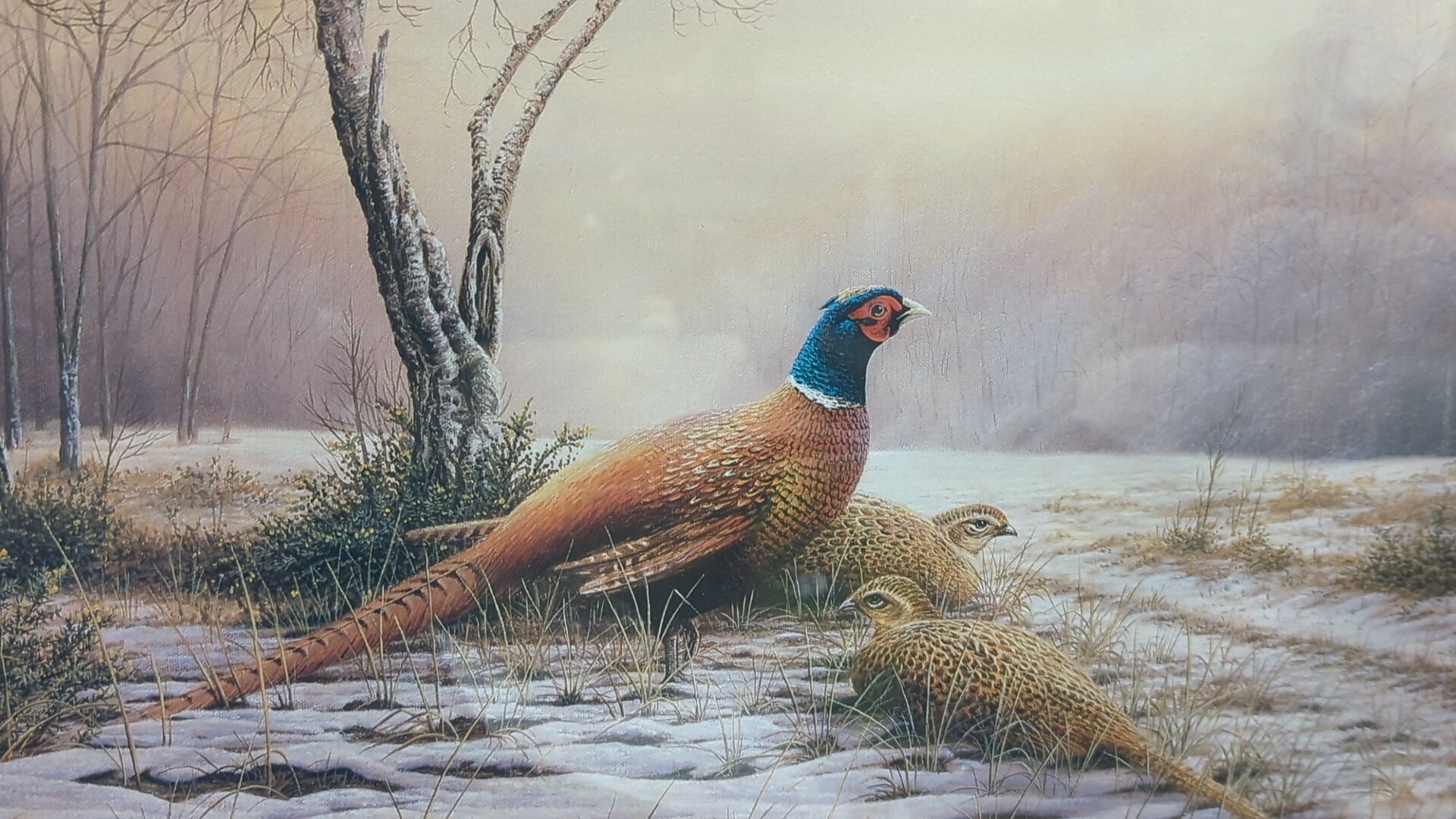 David J. Lawrence | Winter’s Dawn | MutualArt