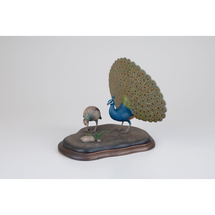 Eddie Wozny | Peacock Life | MutualArt