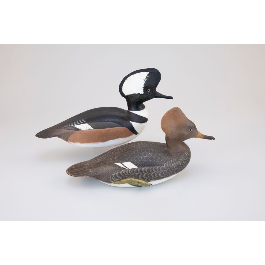 James Reed | Hooded Merganser Pair | MutualArt