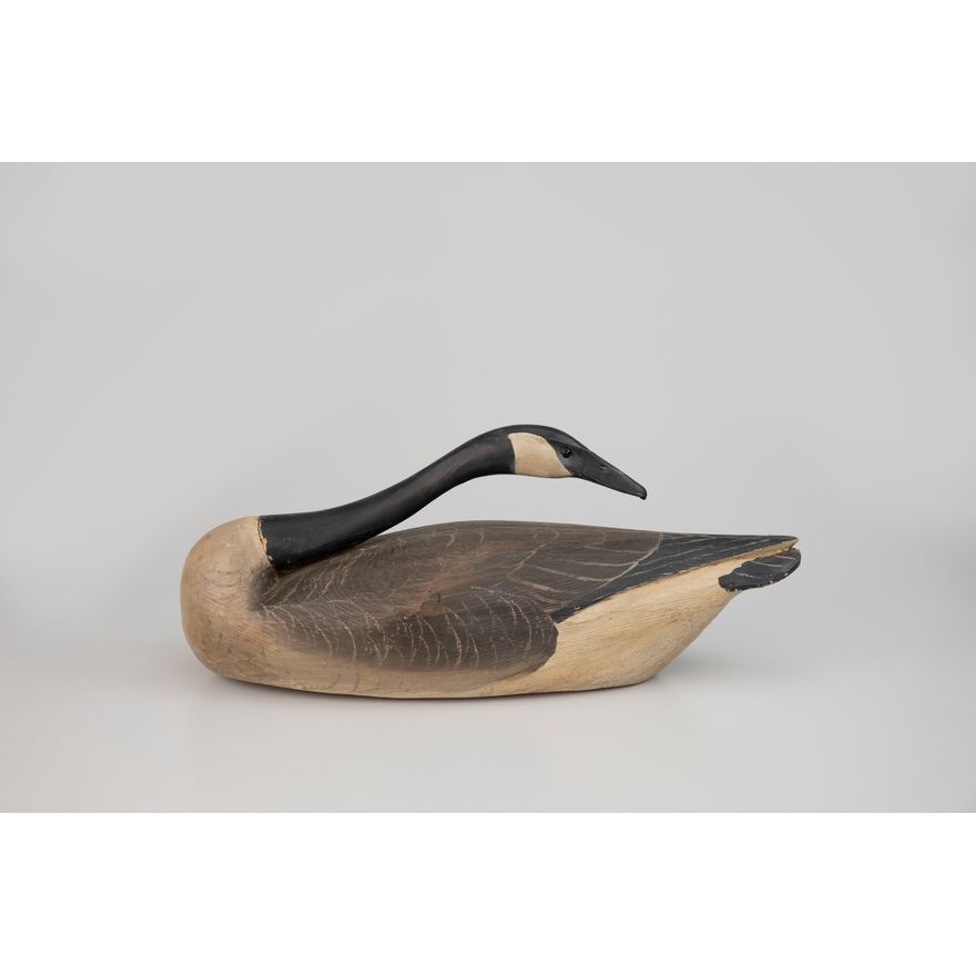 Grayson Chesser | Preening Goose | MutualArt